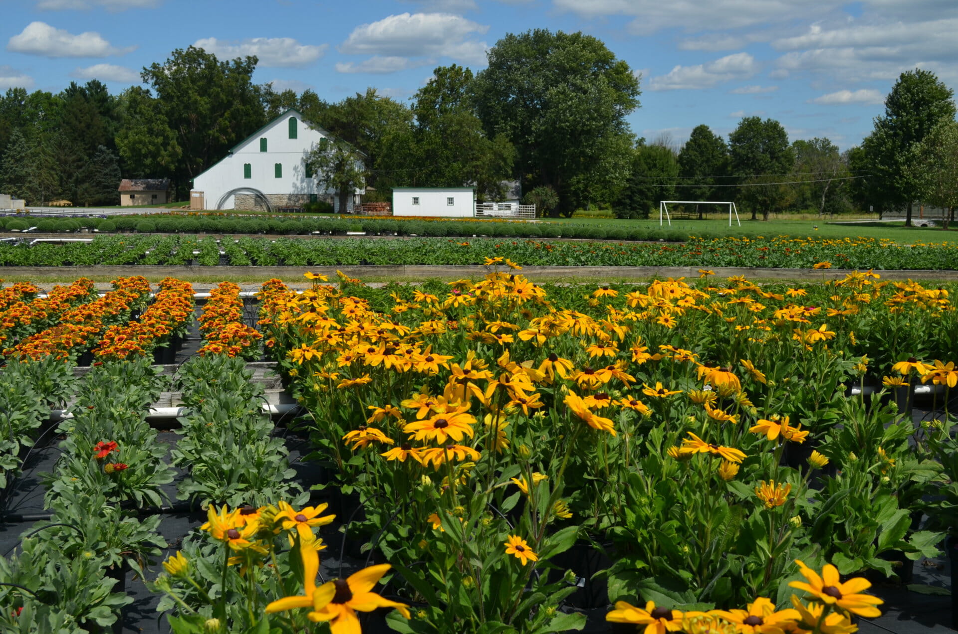 Quality Greenhouses & Perennial Farm Inc.